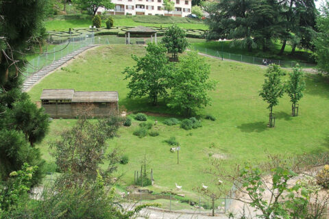 Mes loisirs – Ville de Tarare